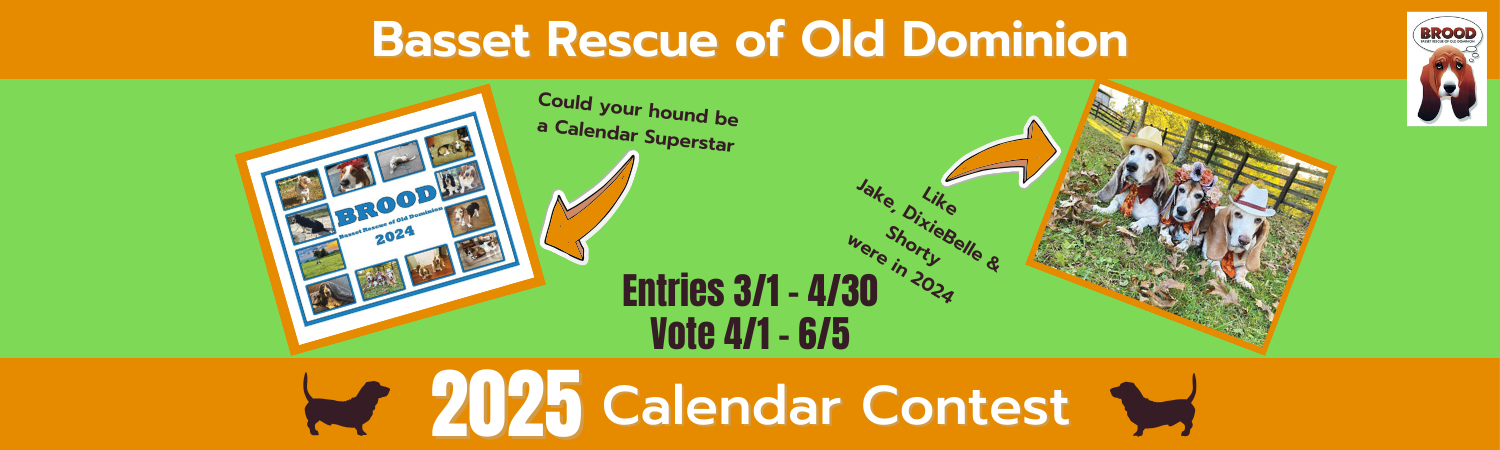 Old Dominion Tour 2025: Don't Miss Out on This Country Music Spectacle!
