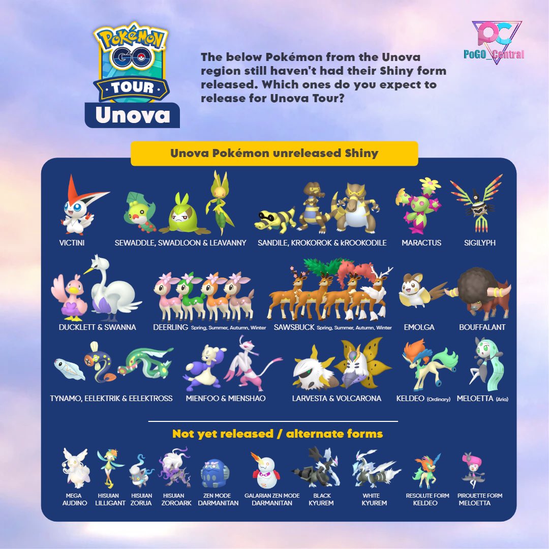 Embark on an Adventure: Go Tour 2025 Exploring the World Ahead