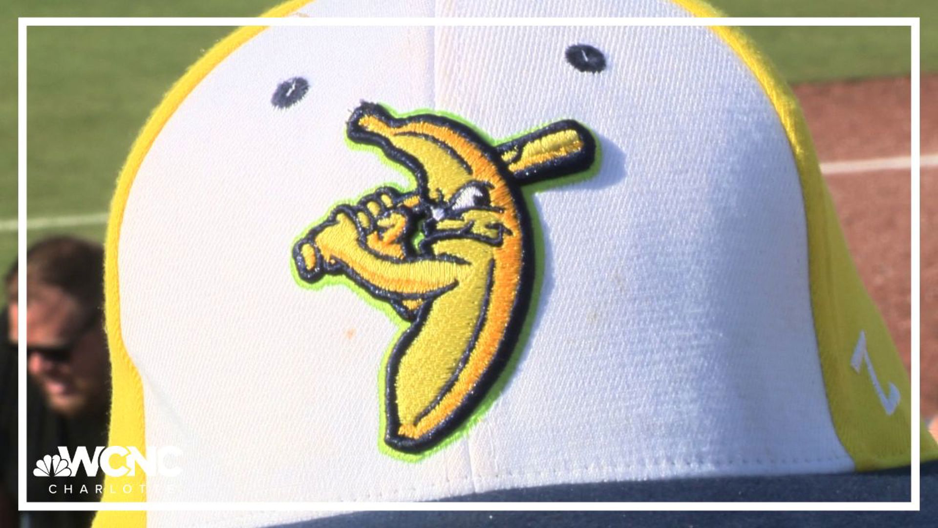 Unveiling the Savannah Banana 2025 Tour: A Tropical Adventure Awaits!