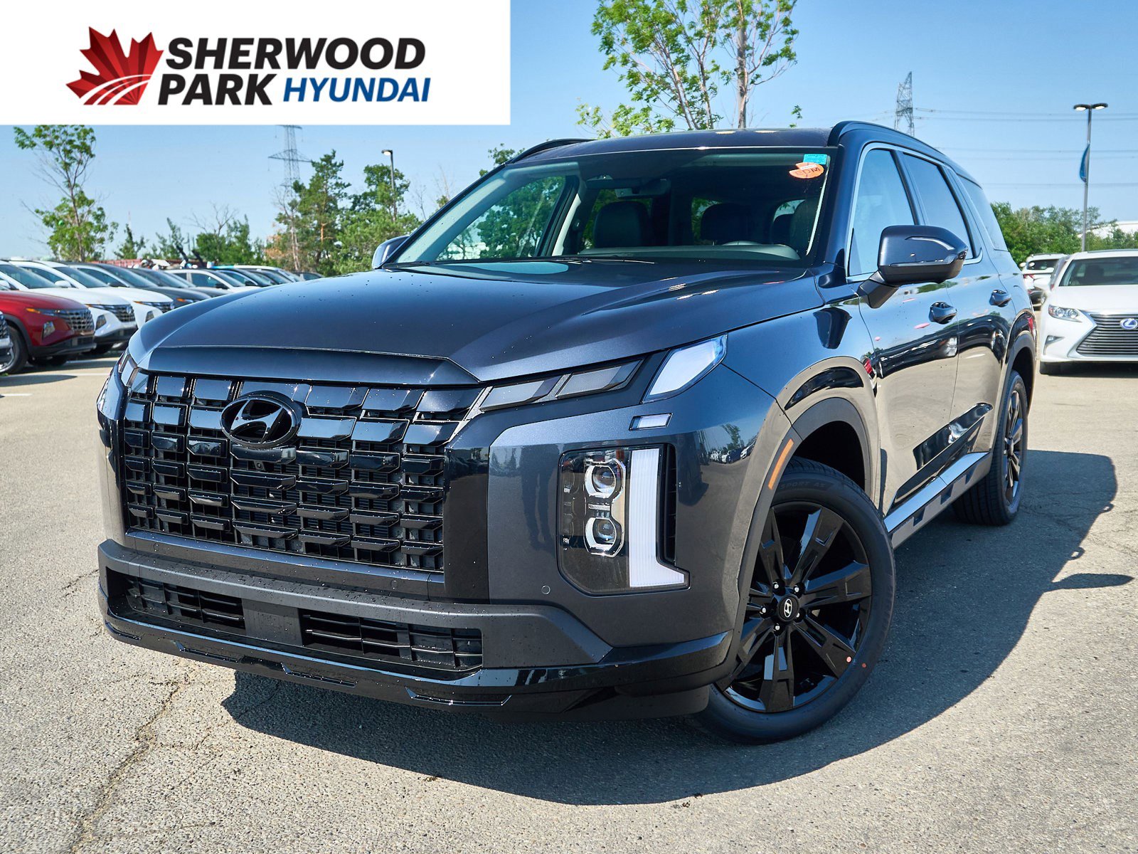 Unlocking the Journey: Lane 8 Tour 2025 Preview